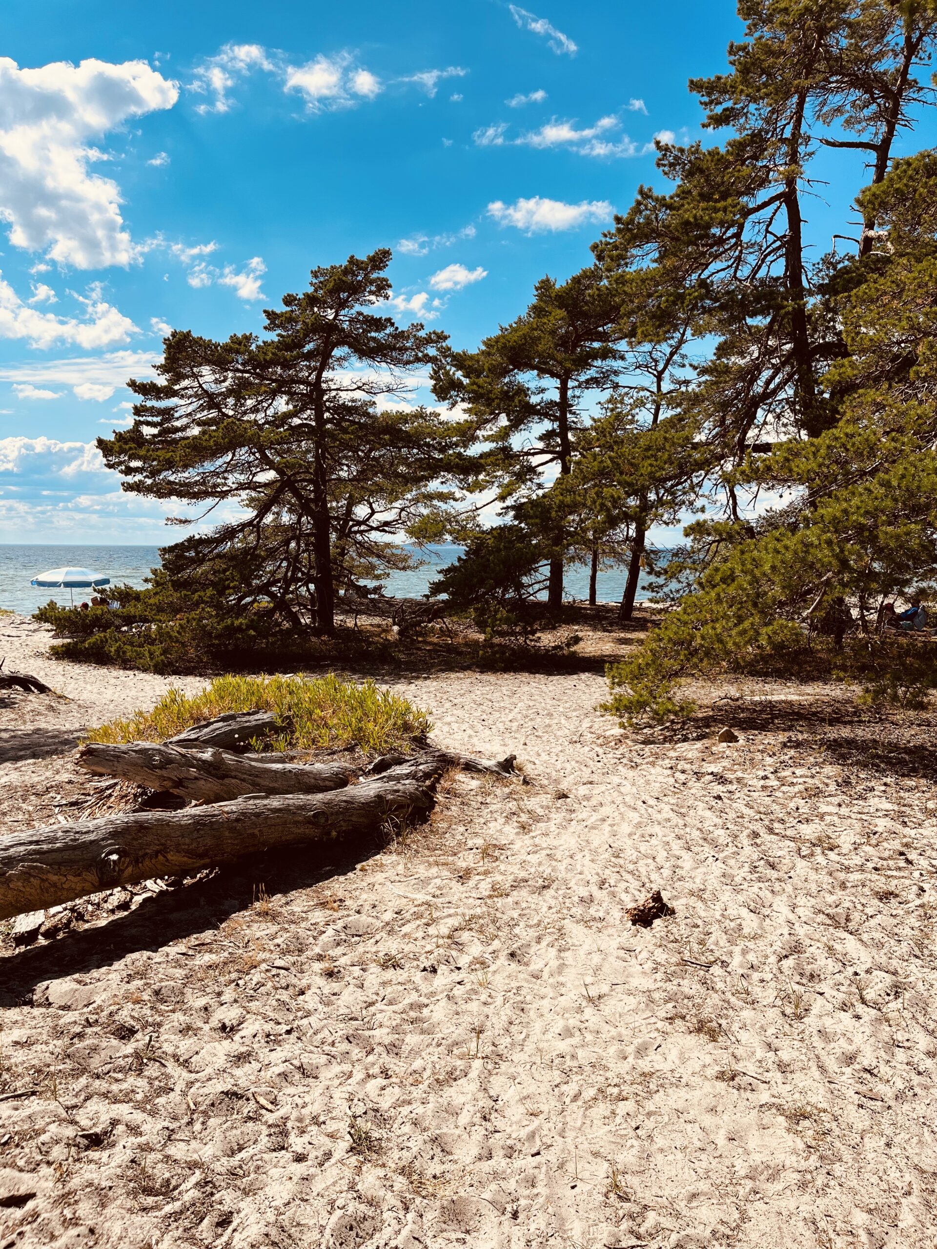 Galerien - Inselglück Schweden